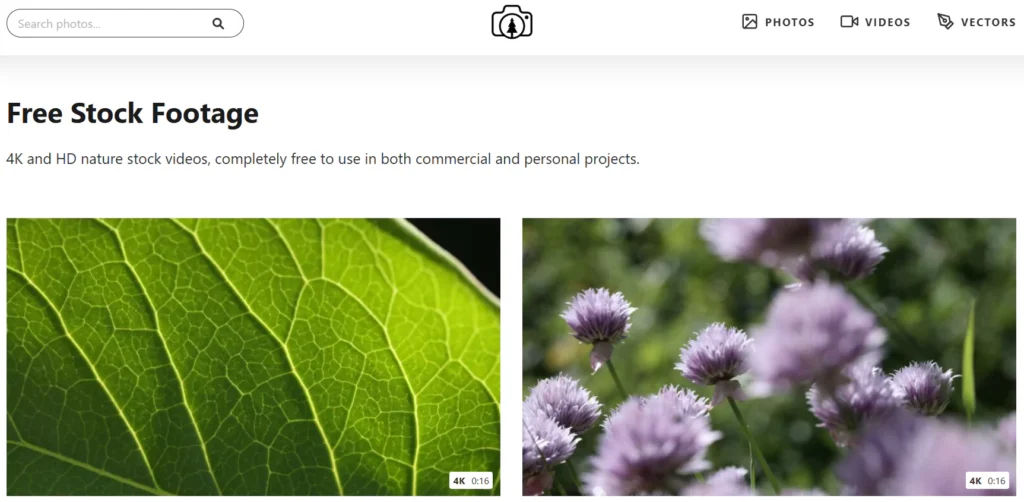 8 Free Stock Video Websites for Creators on a Budget